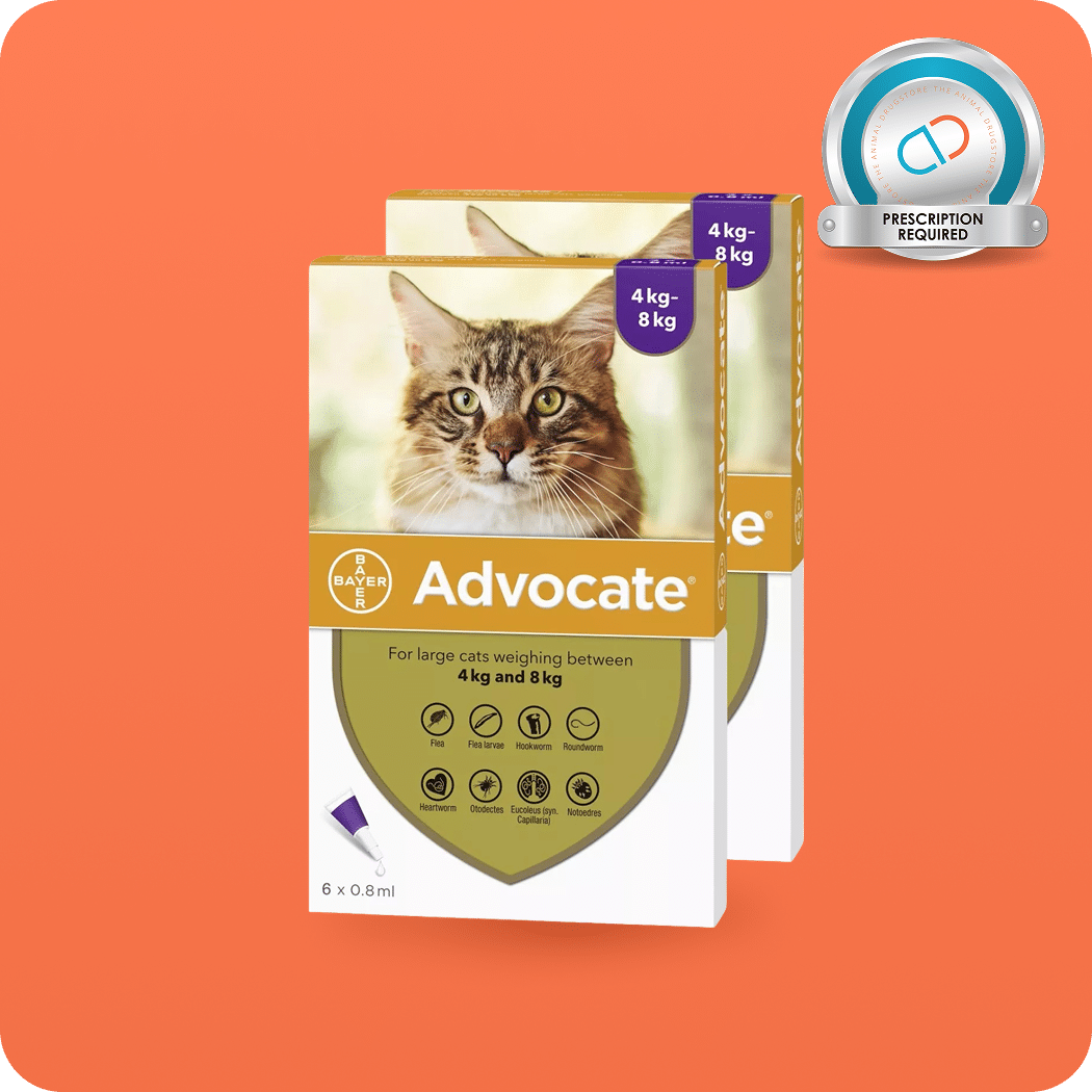 Advocate spot-on (cats) – The Animal Drugstore
